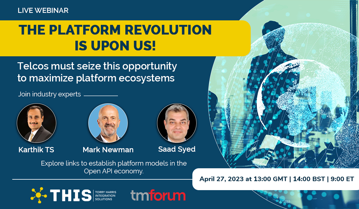 Establishing Links: Platform models in the Open API economy