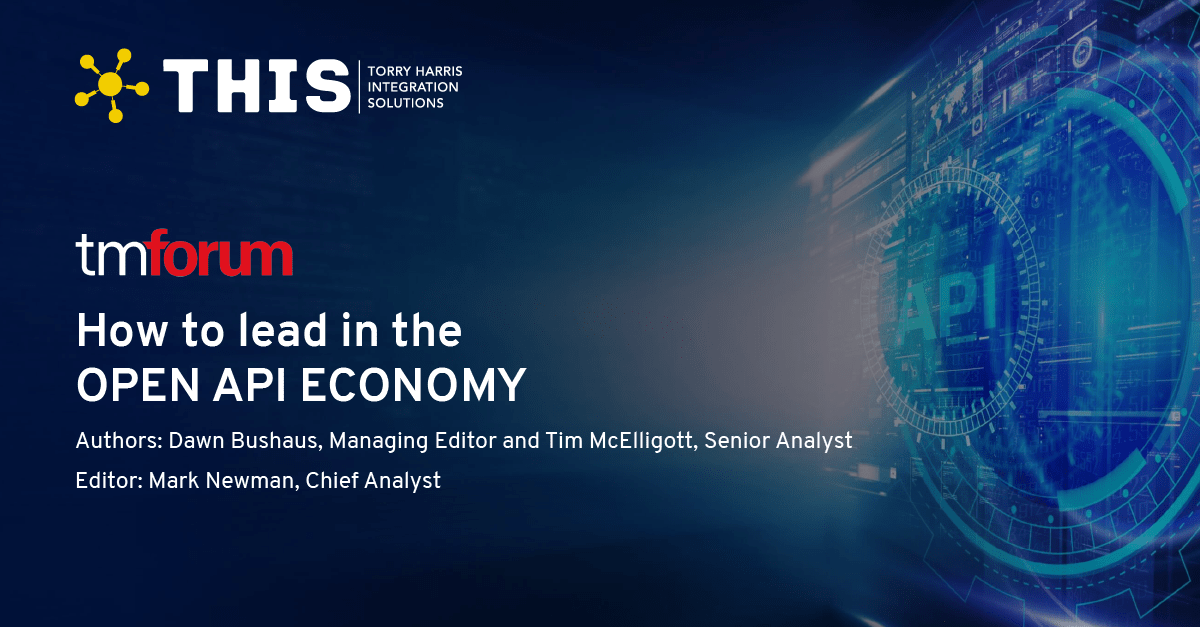 How to lead in the OPEN API ECONOMY